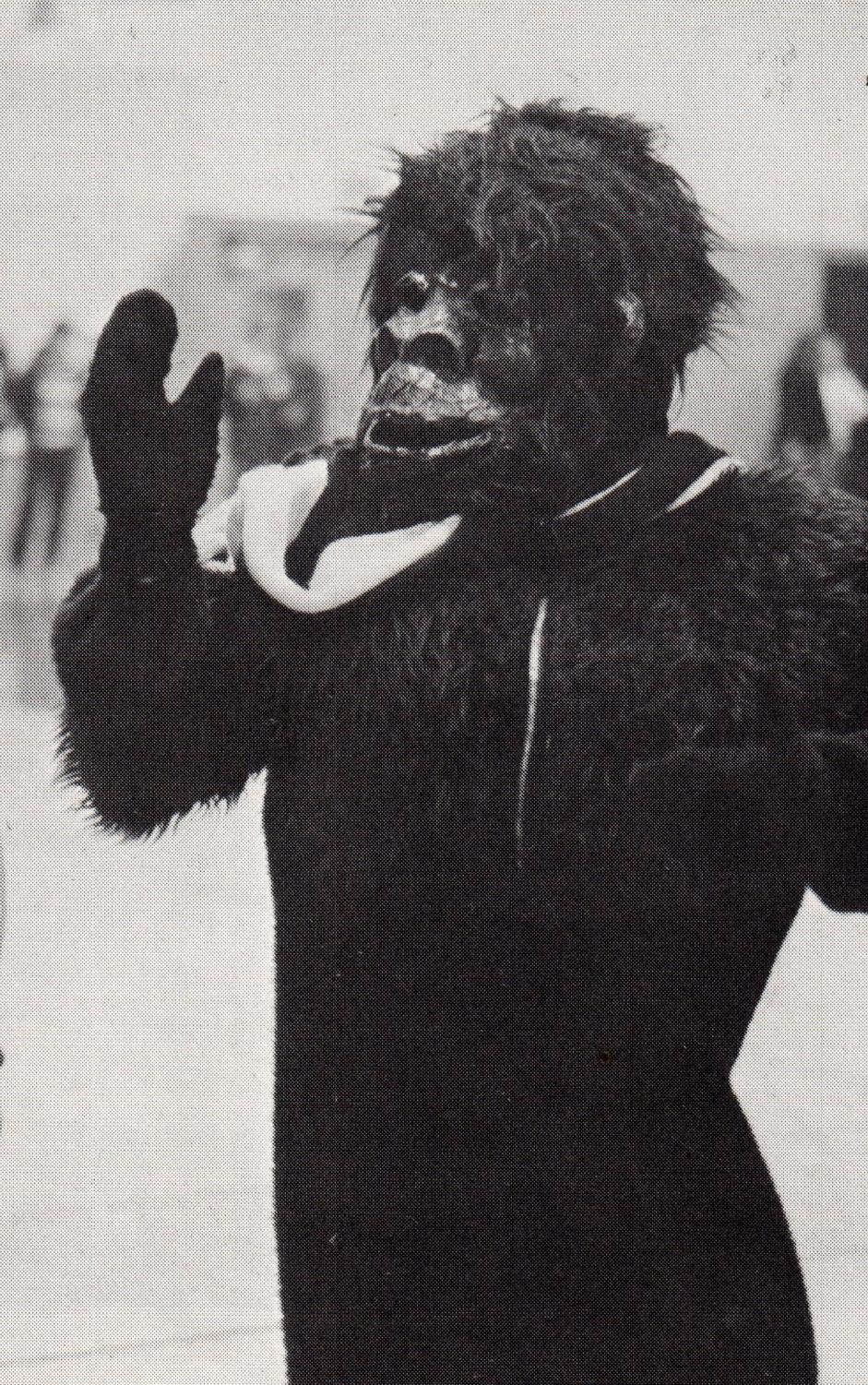 DID YOU KNOW? FROM LANCE BULLWINKLE TO WINSTON THE LANCER: How Sunny ...